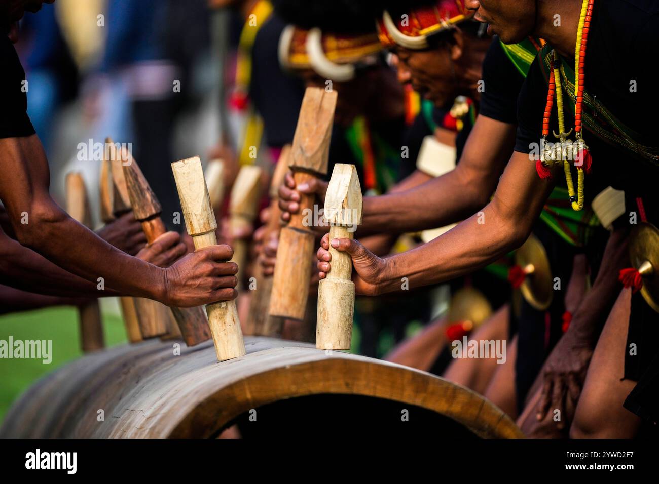 Indigenous Naga tribals perform during the Hornbill Festival in Kisama ...