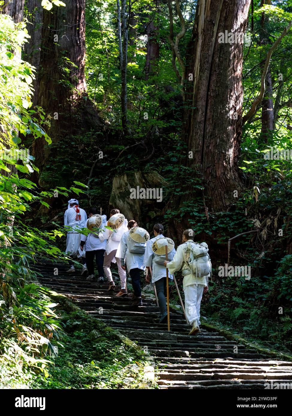 The 2,446 stone steps of Mt. Haguro form a stunning 1.7km walk through ...