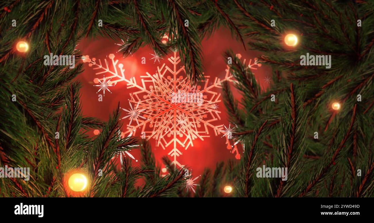 Tree and frame hi-res stock photography and images - Alamy
