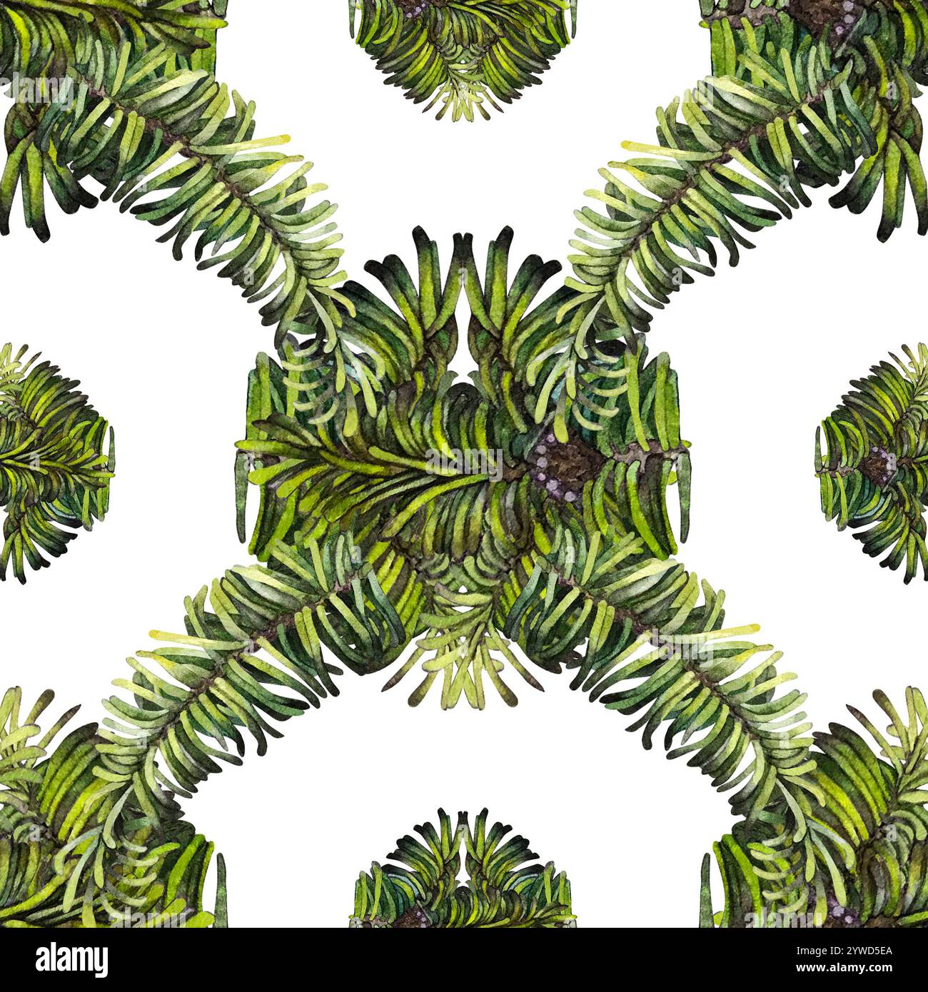 Christmas green fir branches in a seamless pattern on a white background. Watercolor ...