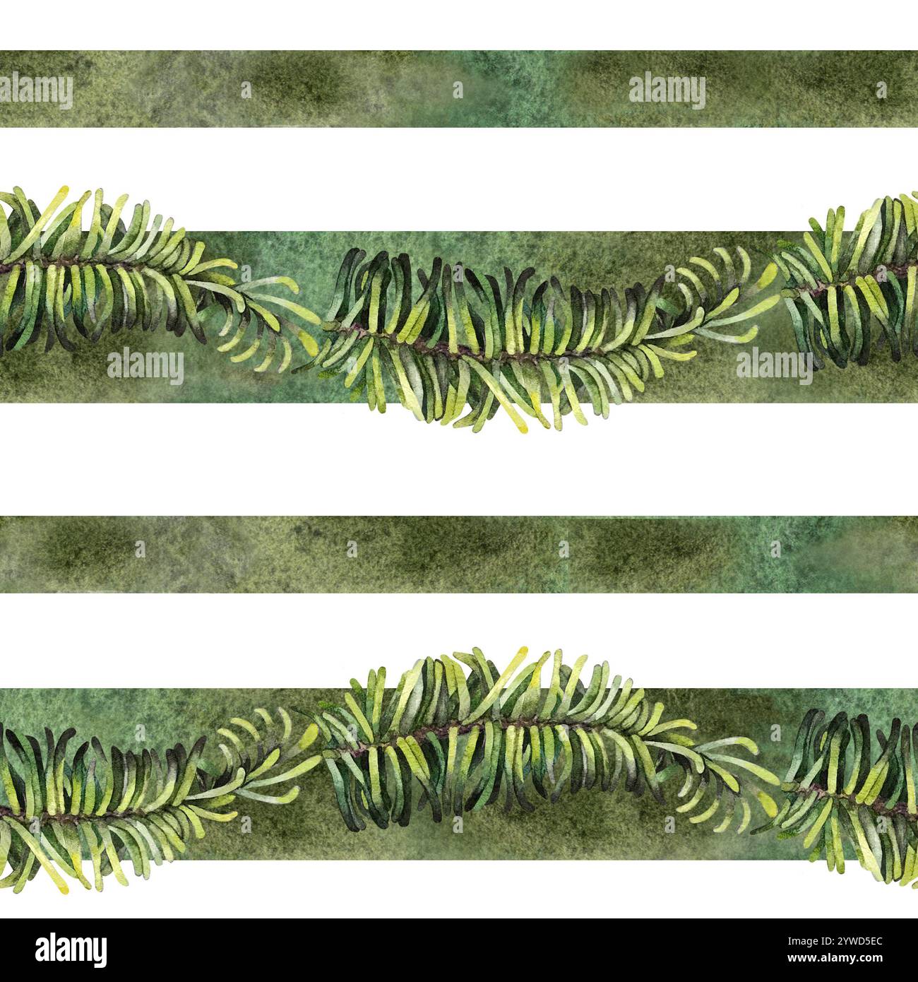 Christmas green fir branches in a seamless pattern on a white background. Watercolor ...