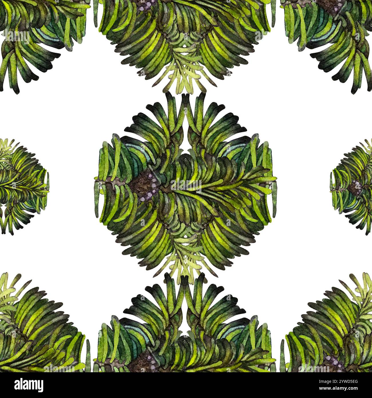 Christmas green fir branches in a seamless pattern on a white background. Watercolor ...