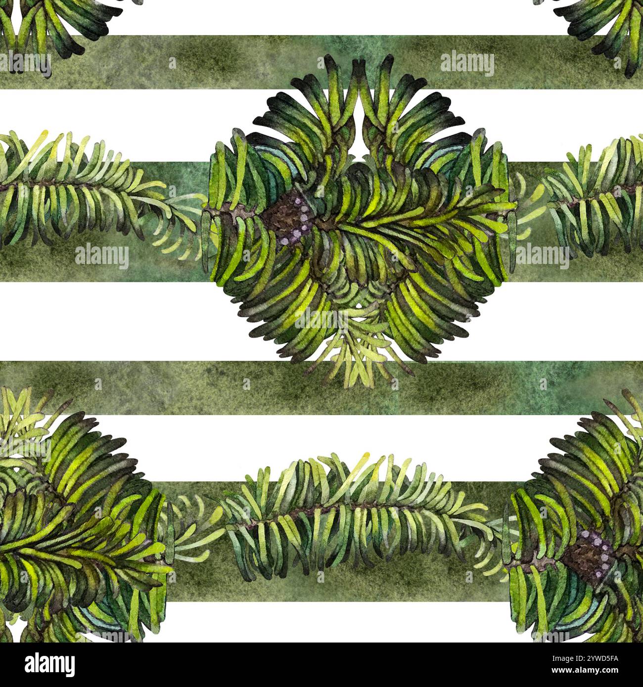 Christmas green fir branches in a seamless pattern on a white background. Watercolor ...