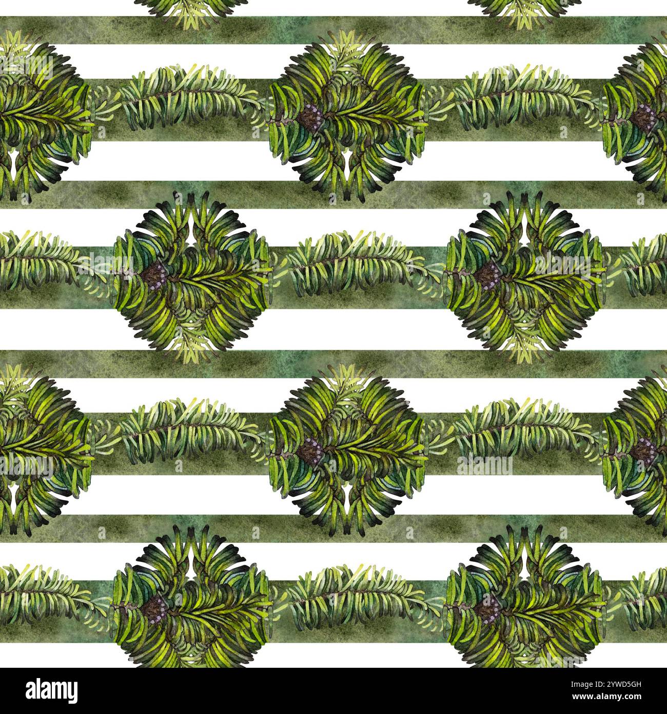 Christmas green fir branches in a seamless pattern on a white background. Watercolor ...