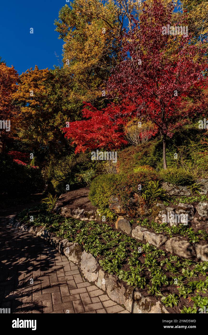A path with a brick walkway leading to a hillside with trees and plants ...