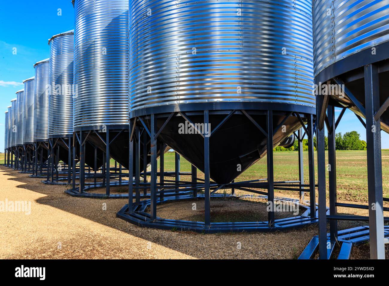 A row of silos are lined up in a field. The silos are tall and metallic ...