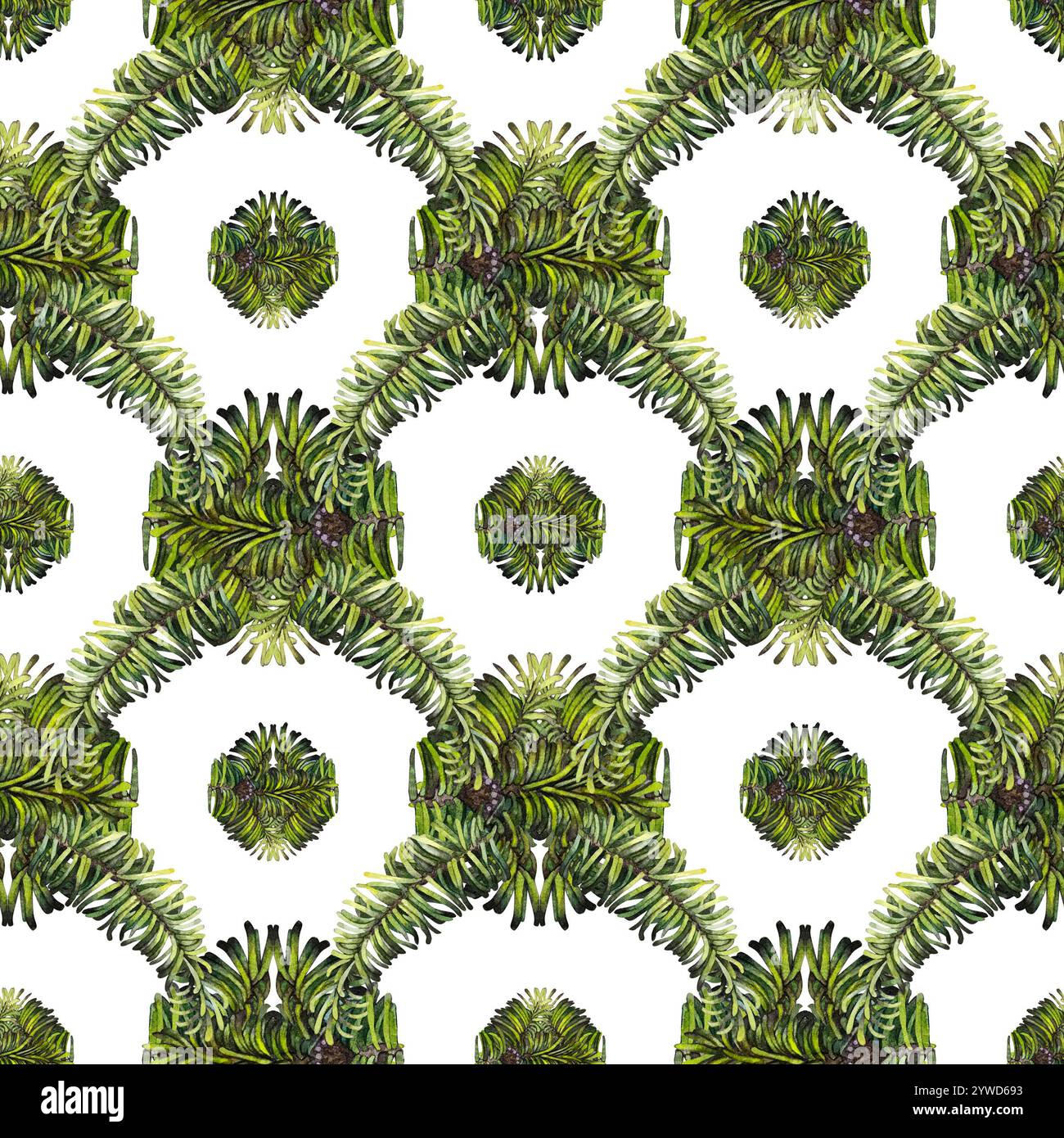 Christmas green fir branches in a seamless pattern on a white background. Watercolor ...