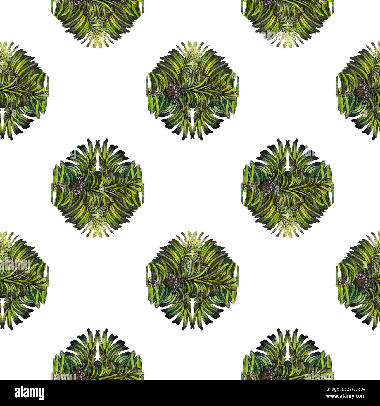 Christmas green fir branches in a seamless pattern on a white background. Watercolor ...