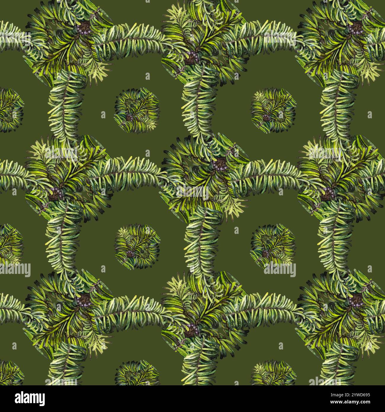Christmas green fir branches in a seamless pattern on a green background. Watercolor ...
