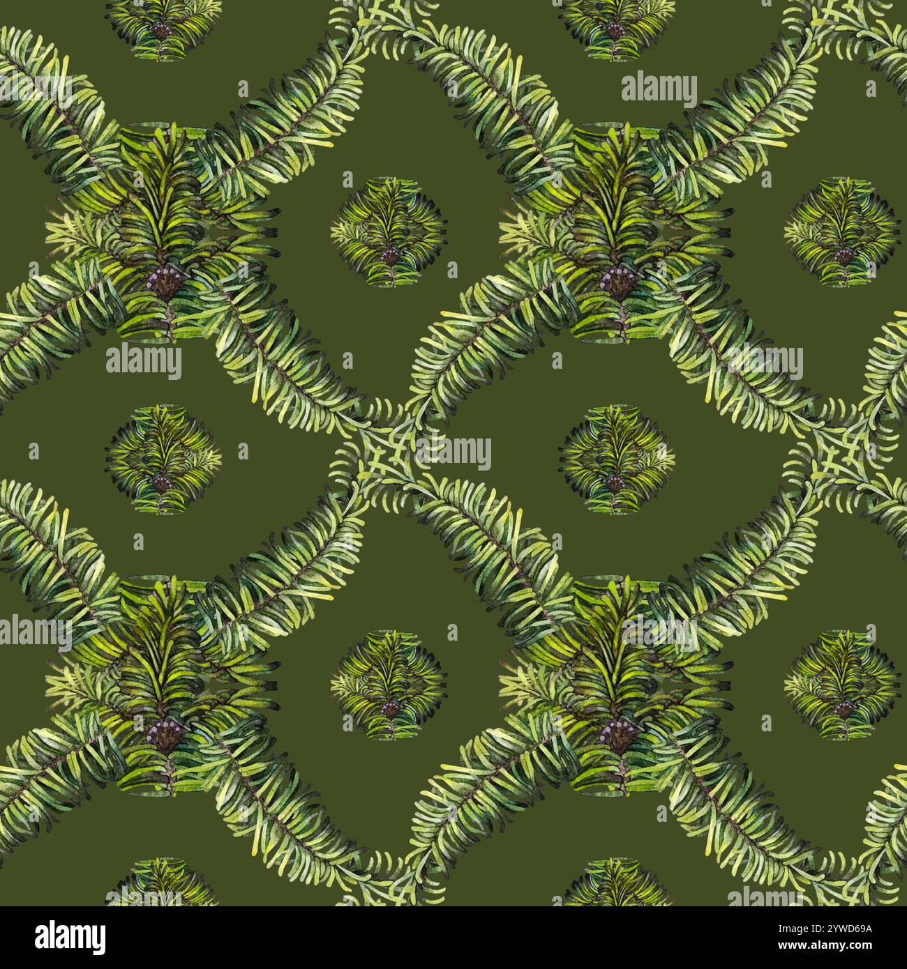 Christmas green fir branches in a seamless pattern on a green background. Watercolor ...
