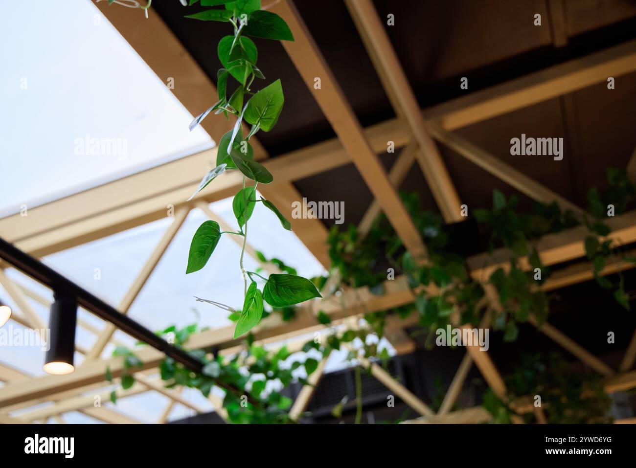 Bringing Nature Indoors Lush Vines Gracefully Draped under a Modern ...
