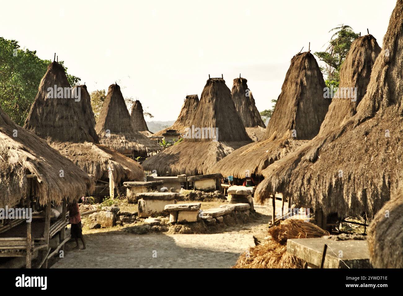 Sumba traditional architecture hi-res stock photography and images - Alamy