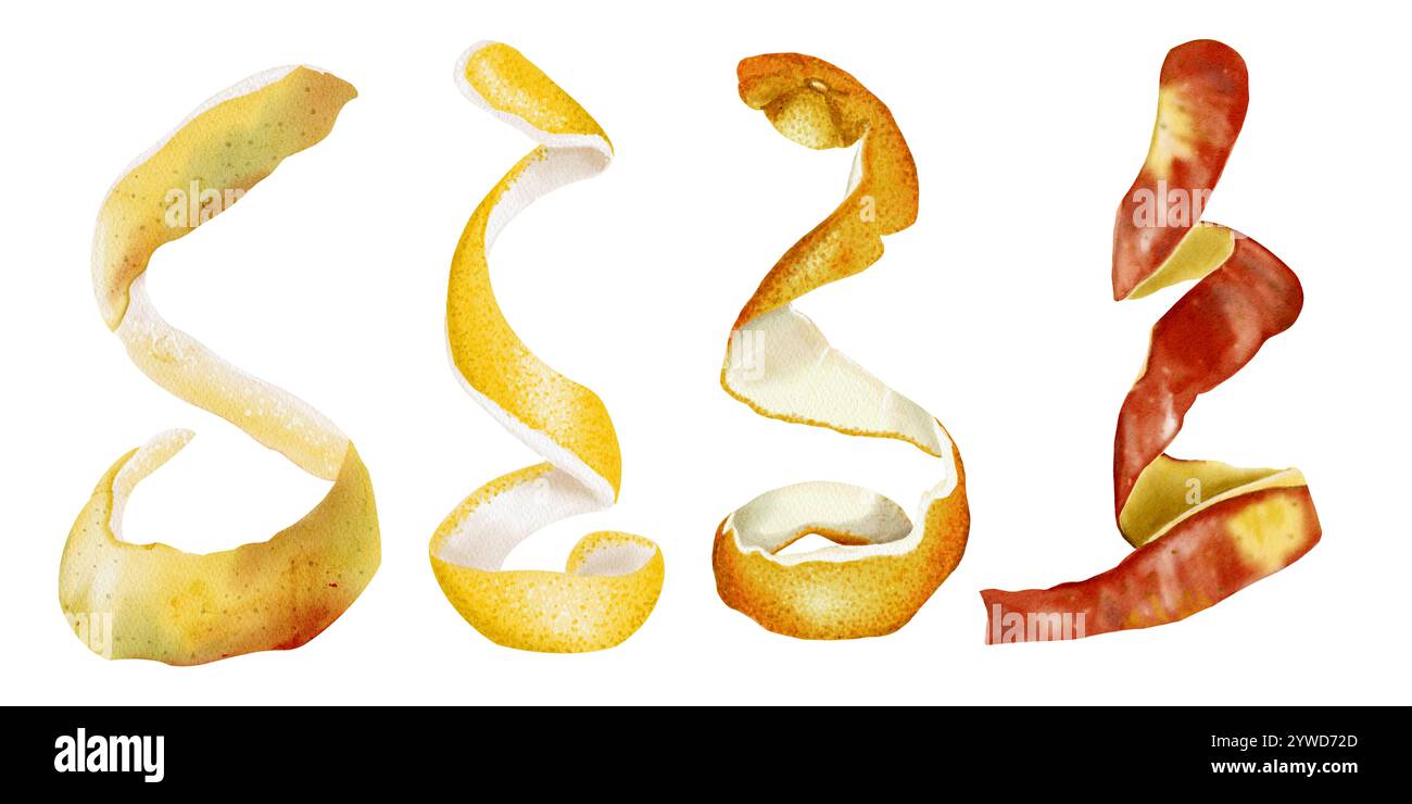 Fruit peel. Peeling apple, lemon, orange and tangerine. Set of food ...
