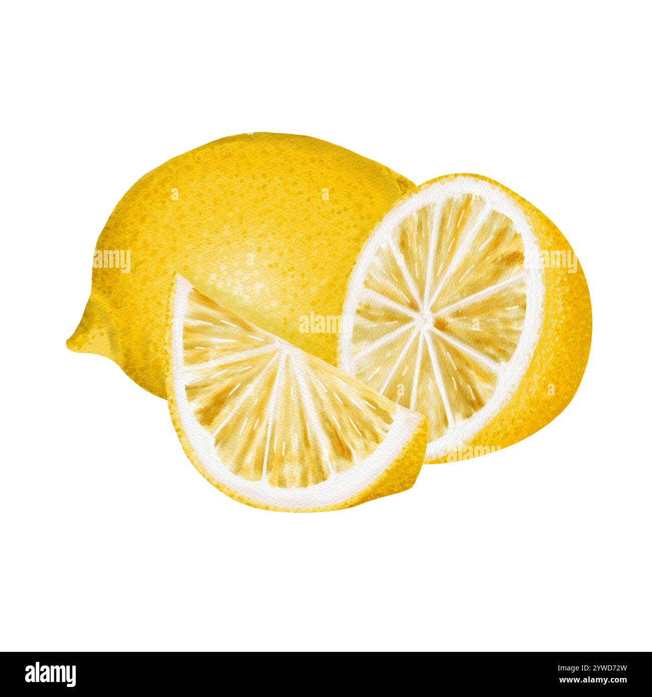Lemons are cut in half and a slice of fruit. Composition of citruses ...