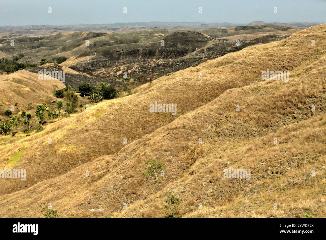 Dry grassland on hilly landscape during dry season on Wairinding hill ...