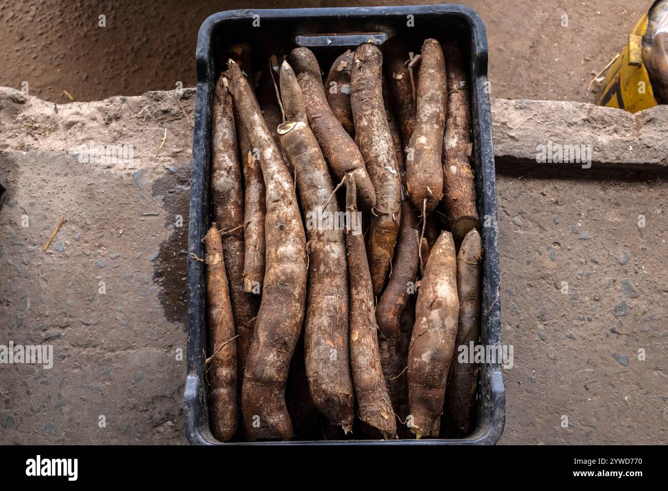 Cassava stacked in a plastic box, ready to be sold, in Brazil Stock ...