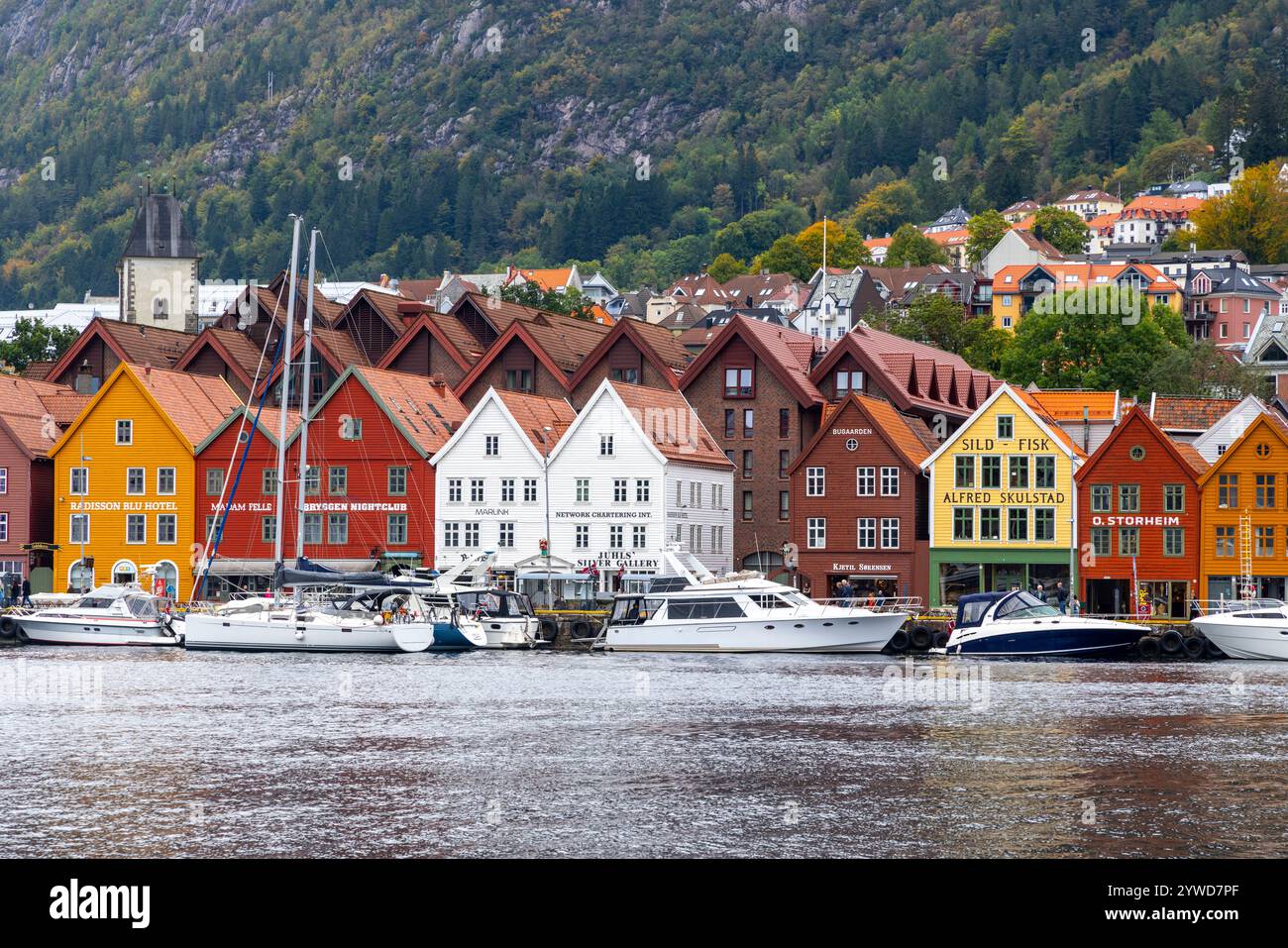 Historic Bryggen district of Bergen, a popular tourist attraction and ...