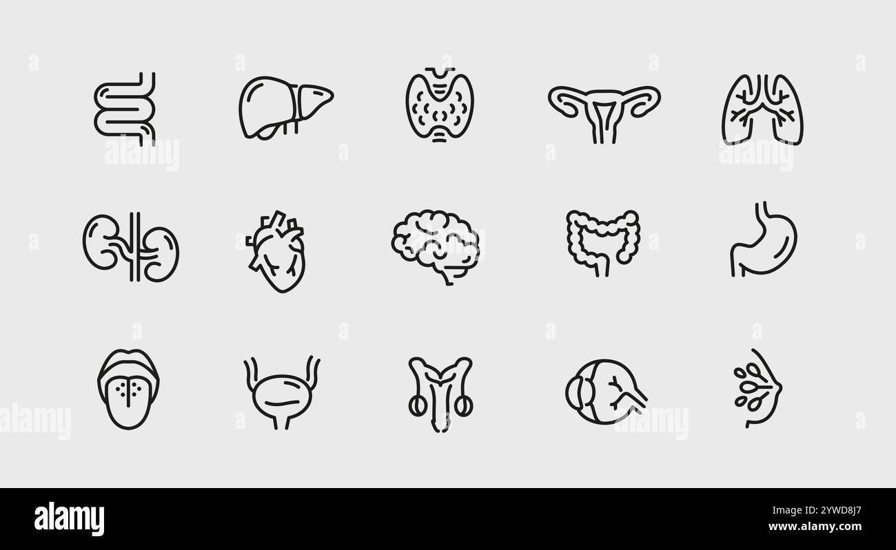 Human Organs Icons Set Stock Vector Image & Art - Alamy