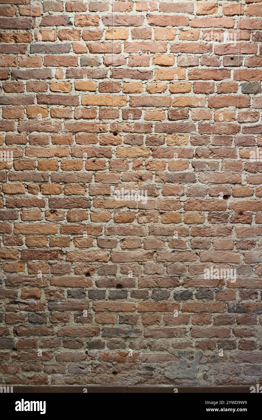 This is a captivating design featuring a rustic textured brick wall ...