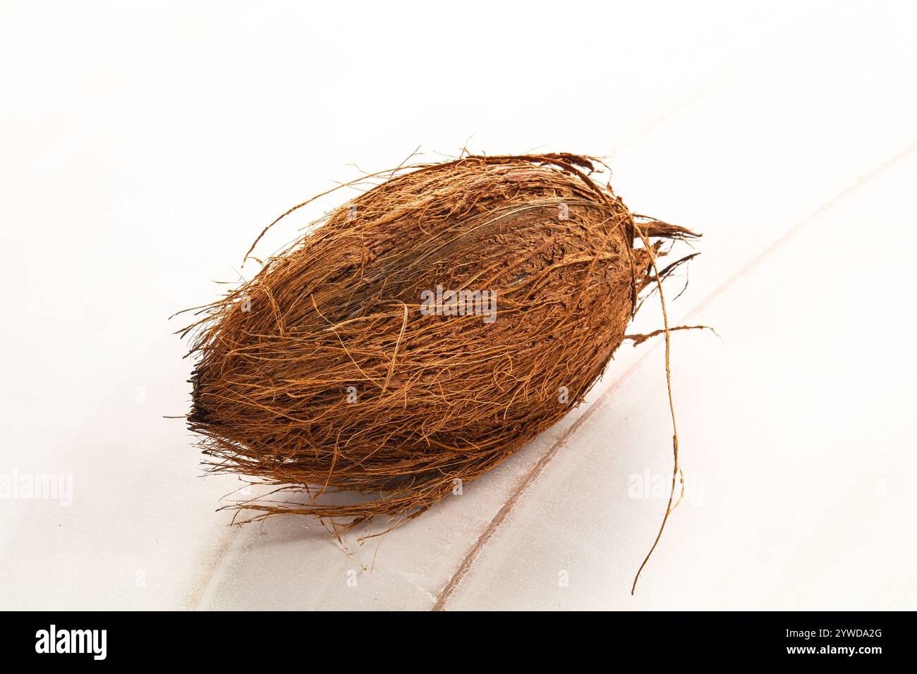 Natural exotic brown hairy coconut with shell Stock Photo - Alamy