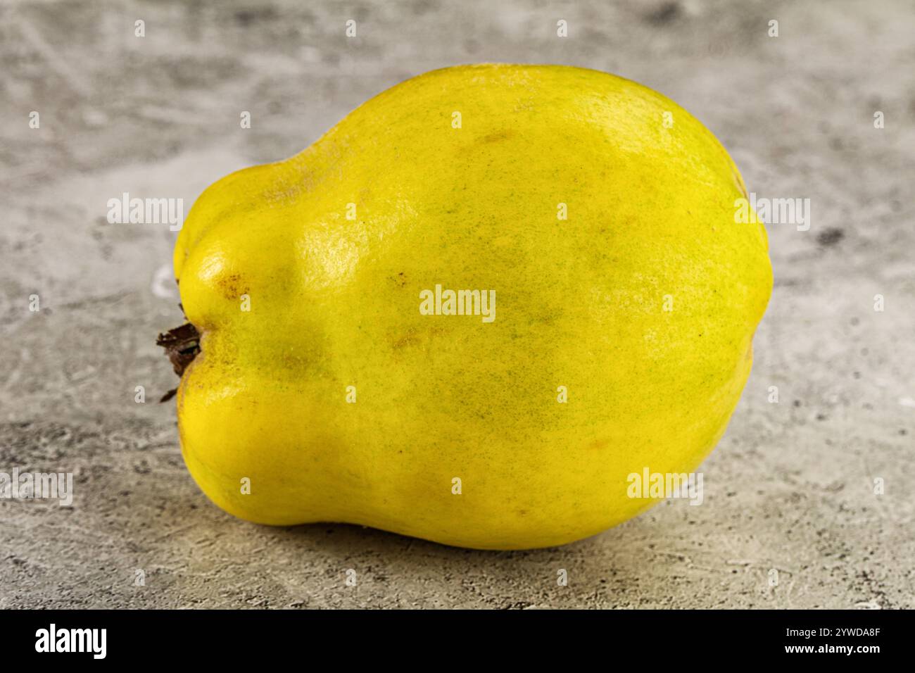 Ripe sweet fresh juicy quince fruit Stock Photo - Alamy