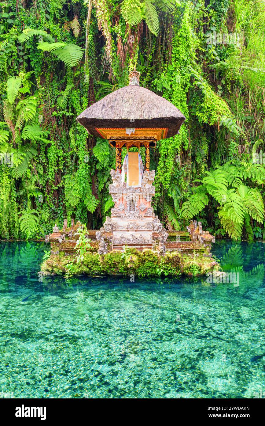 Pond at a Hindu Balinese water temple in Bali, Indonesia Stock Photo ...
