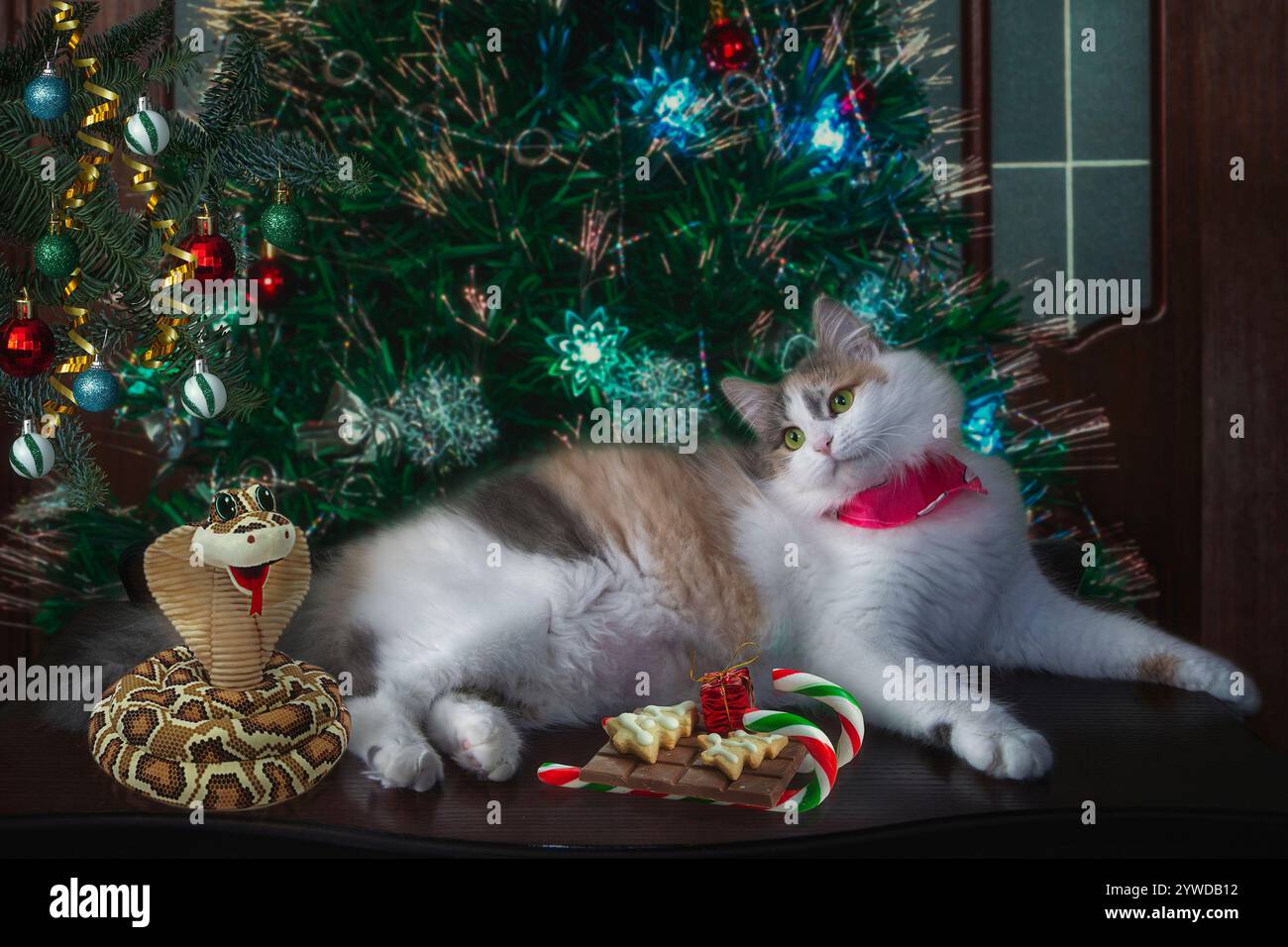 Year 2025 symbol bright hi-res stock photography and images - Alamy