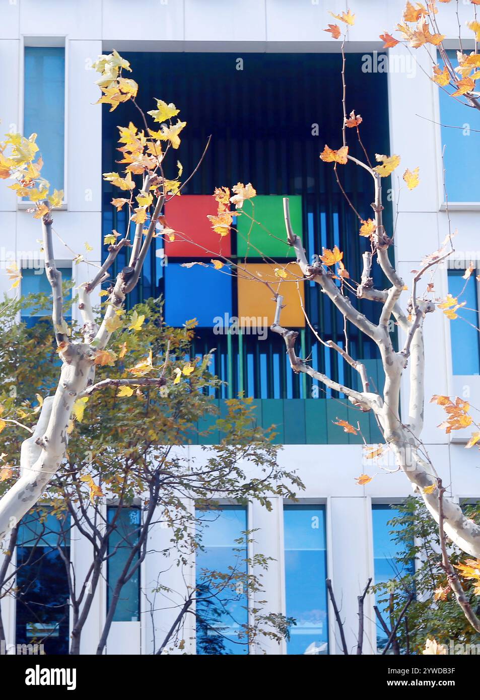 The Microsoft China headquarters building in Xuhui Caohejing ...