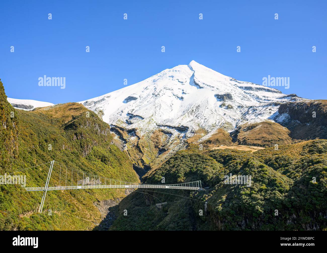 Wanganui Gorge Bridge, 100-metre-long suspension bridge on Taranaki ...