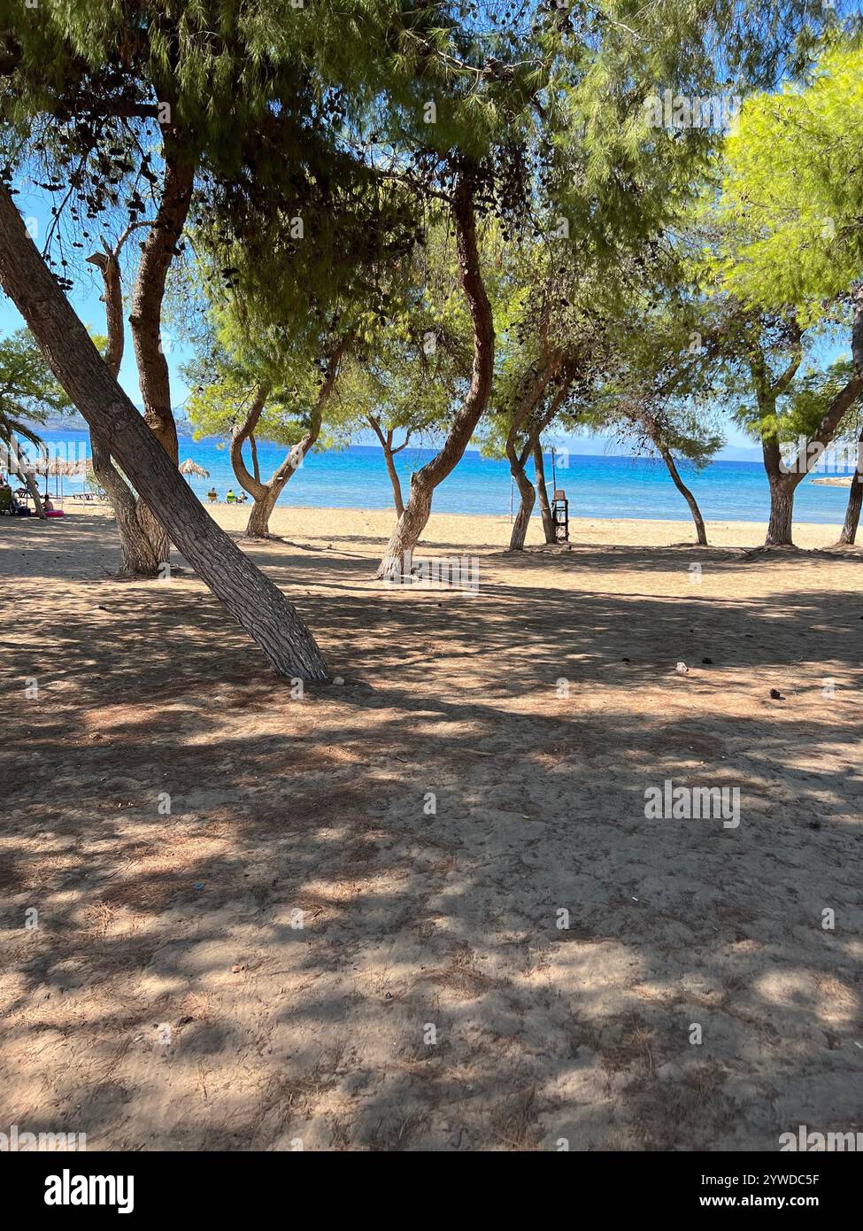 Beach with trees in Kranidi, Greek - Stand mit Bäumen in Kranidi in ...
