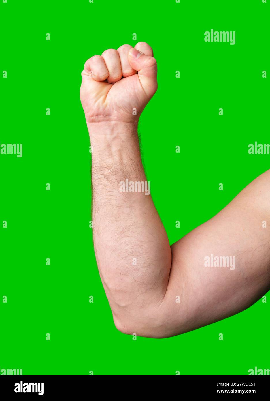 A muscular arm making a fist against a bright green background Stock ...