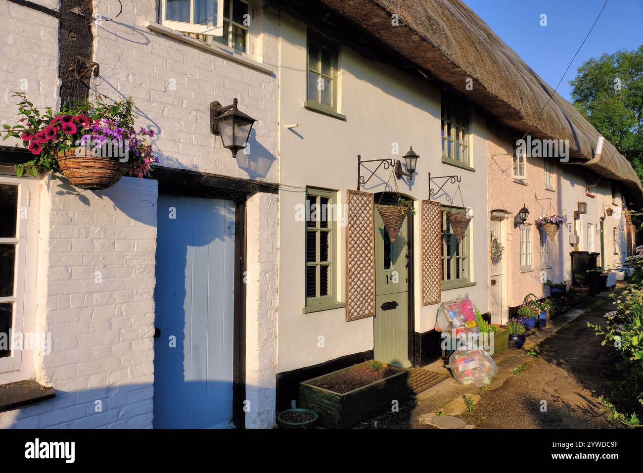 Dorchester: Thatched pastel coloured terrace cottages soon after ...