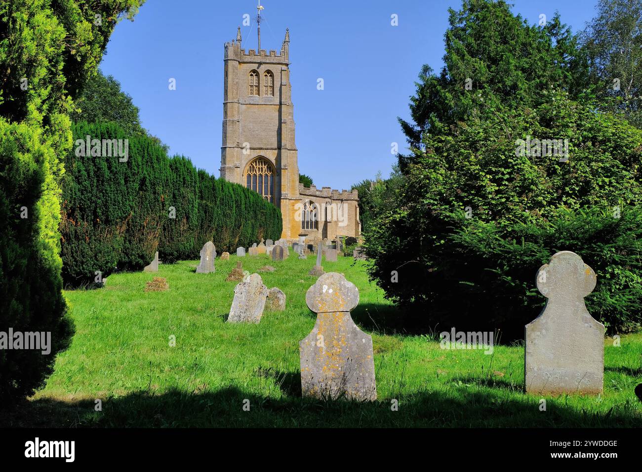 Martock: All Saints Church tower in hamstone honey coloured stone and ...