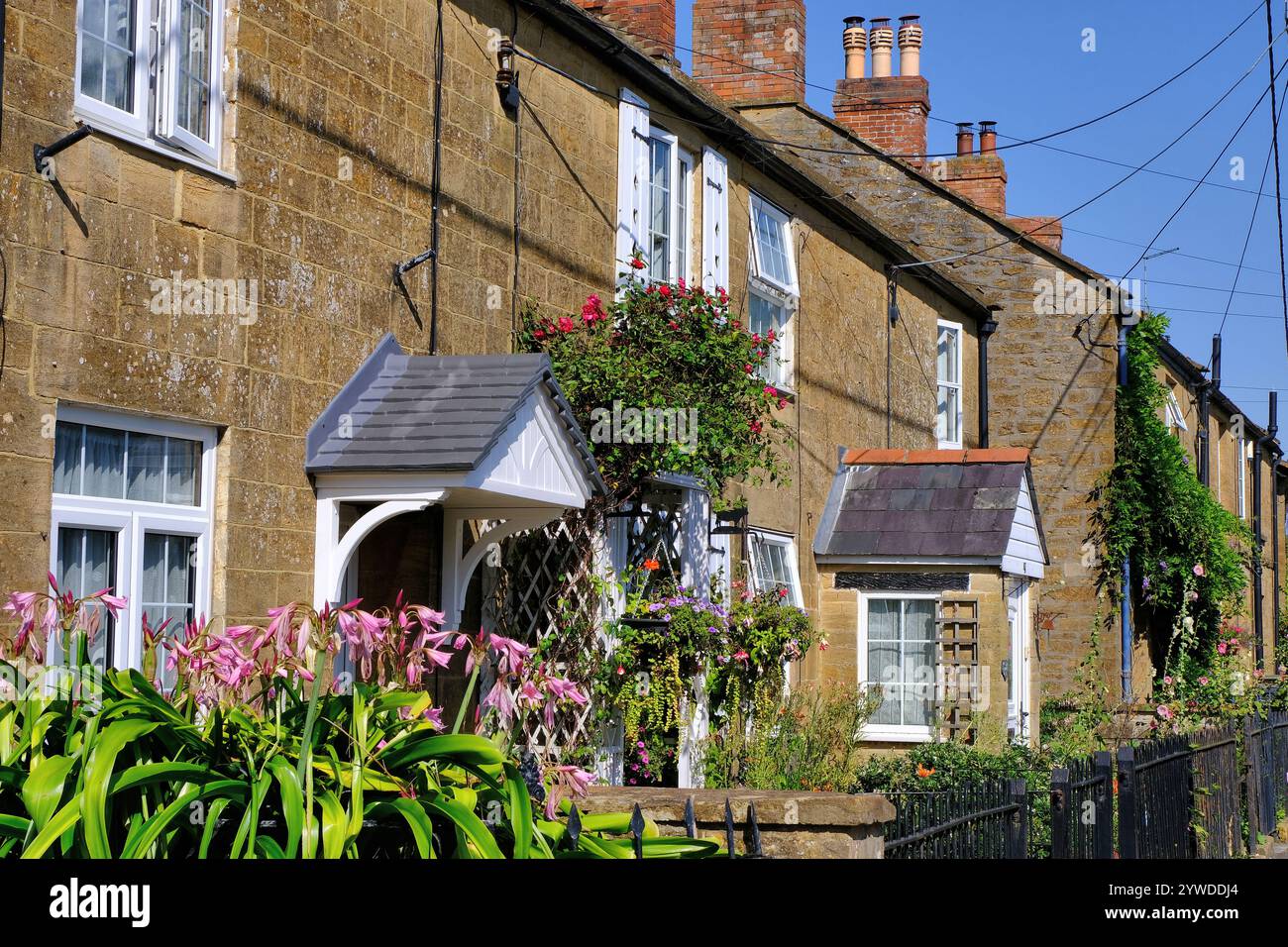 Martock: Hamstone honey coloured stone houses and gardens in Martock ...