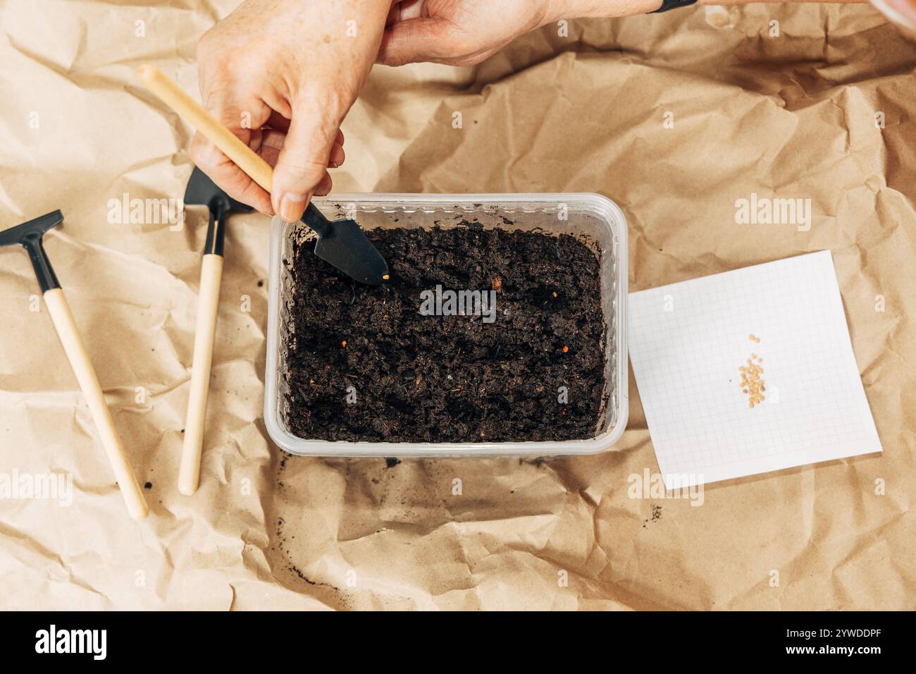 Kraft paper background, fertile soil and garden tools, top view. Hands ...