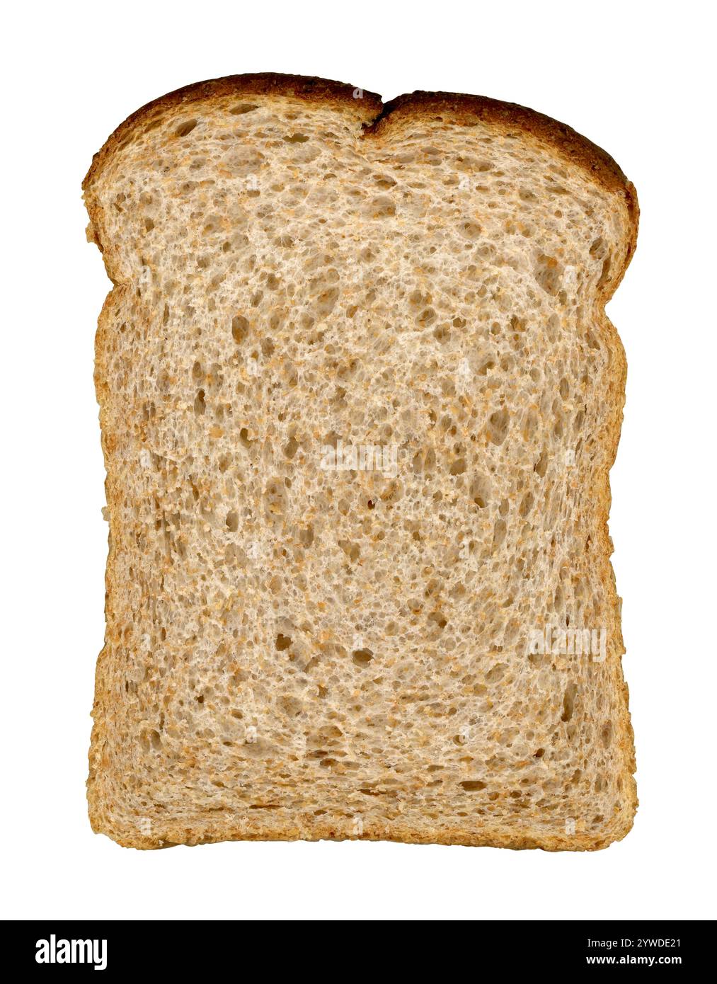 Single slice of high fibre brown wholemeal bread isolated on a white ...
