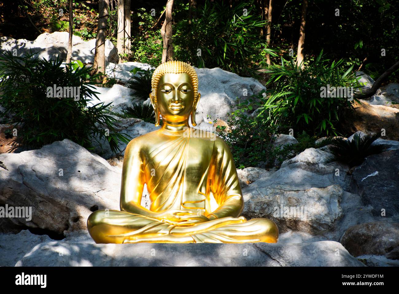 Golden holy buddha ancient statue on stone in forest tree for thai ...