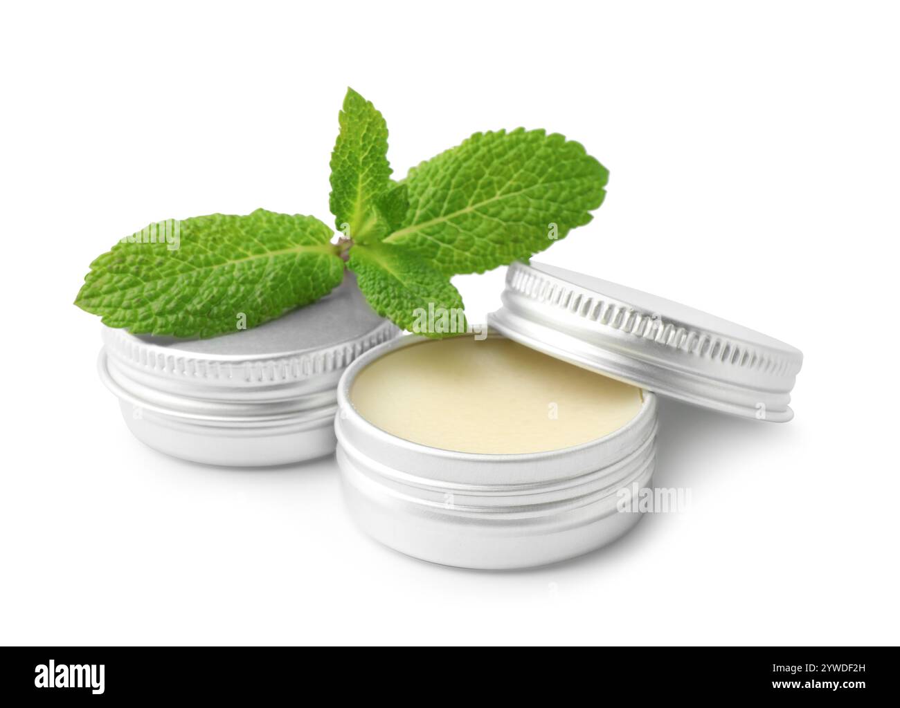 Mint lip balms and green leaves isolated on white. Cosmetic product ...