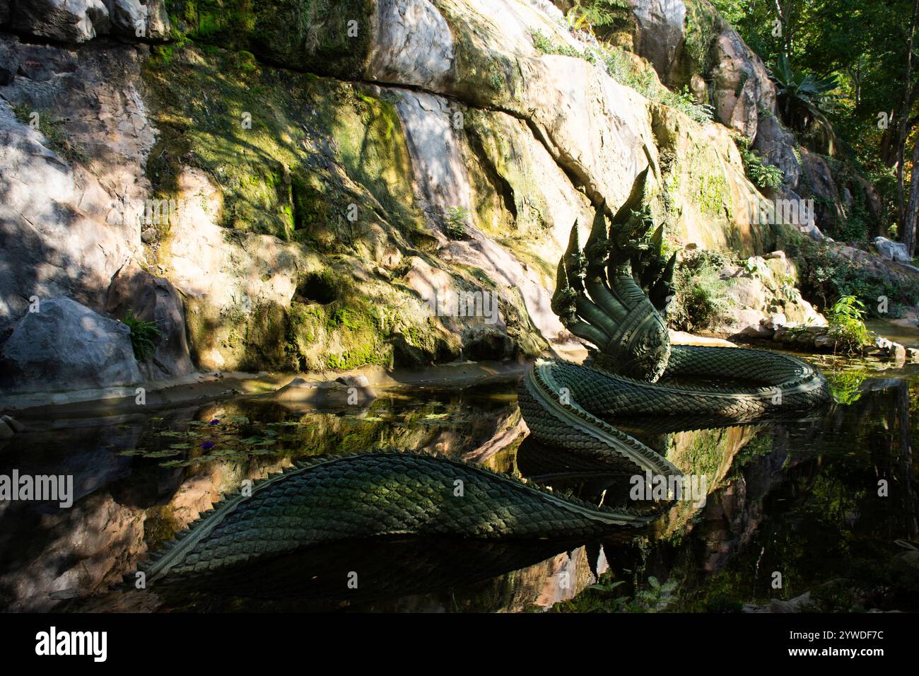 Ancient 7 headed naga or naka statue in antique pond for thai people ...