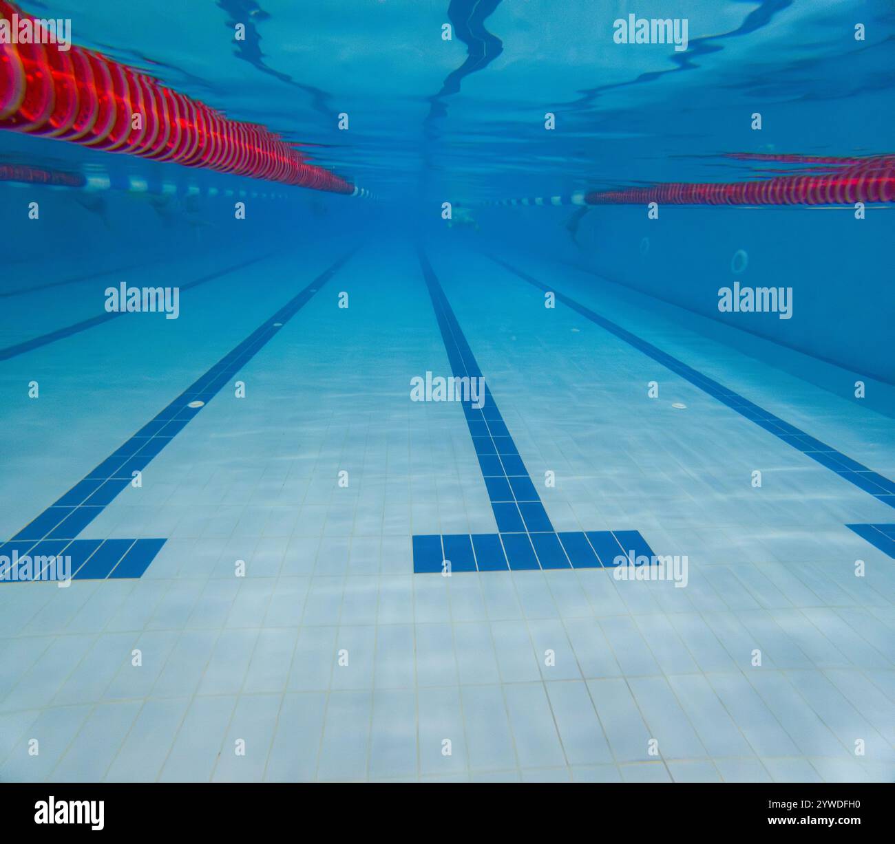 Underwater View of Empty Swimming Pool Lane Stock Photo - Alamy
