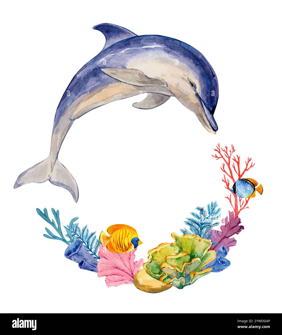 Dolphin jumps on a white background. Composition of corals, tropical ...
