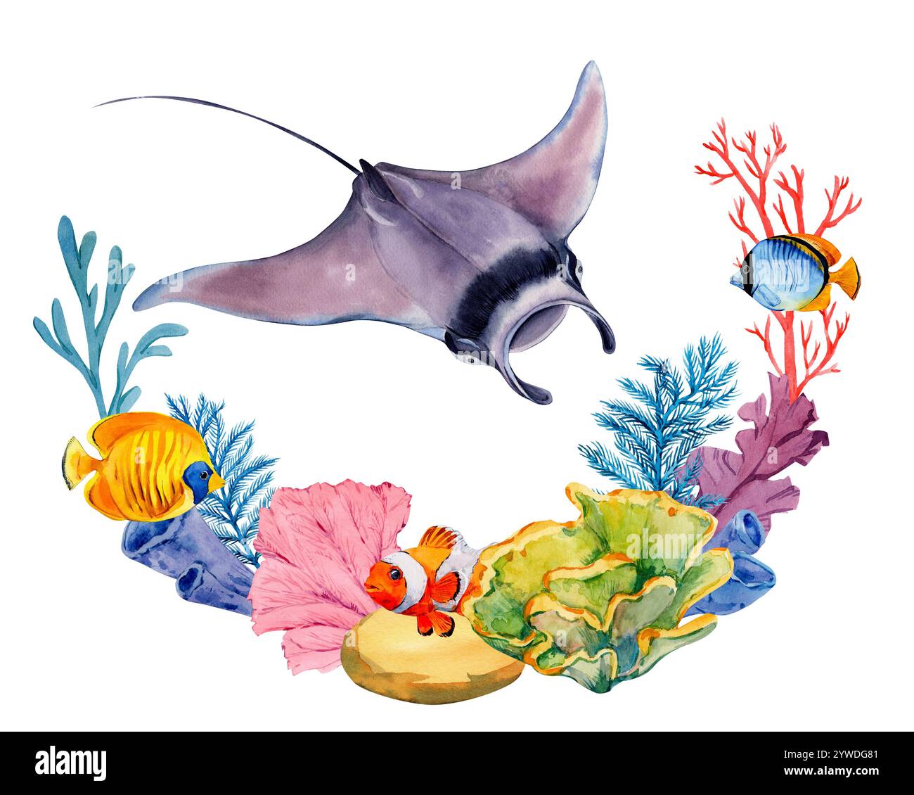 Coral reefs with tropical fish, rocks and algae. Composition with Manta ...