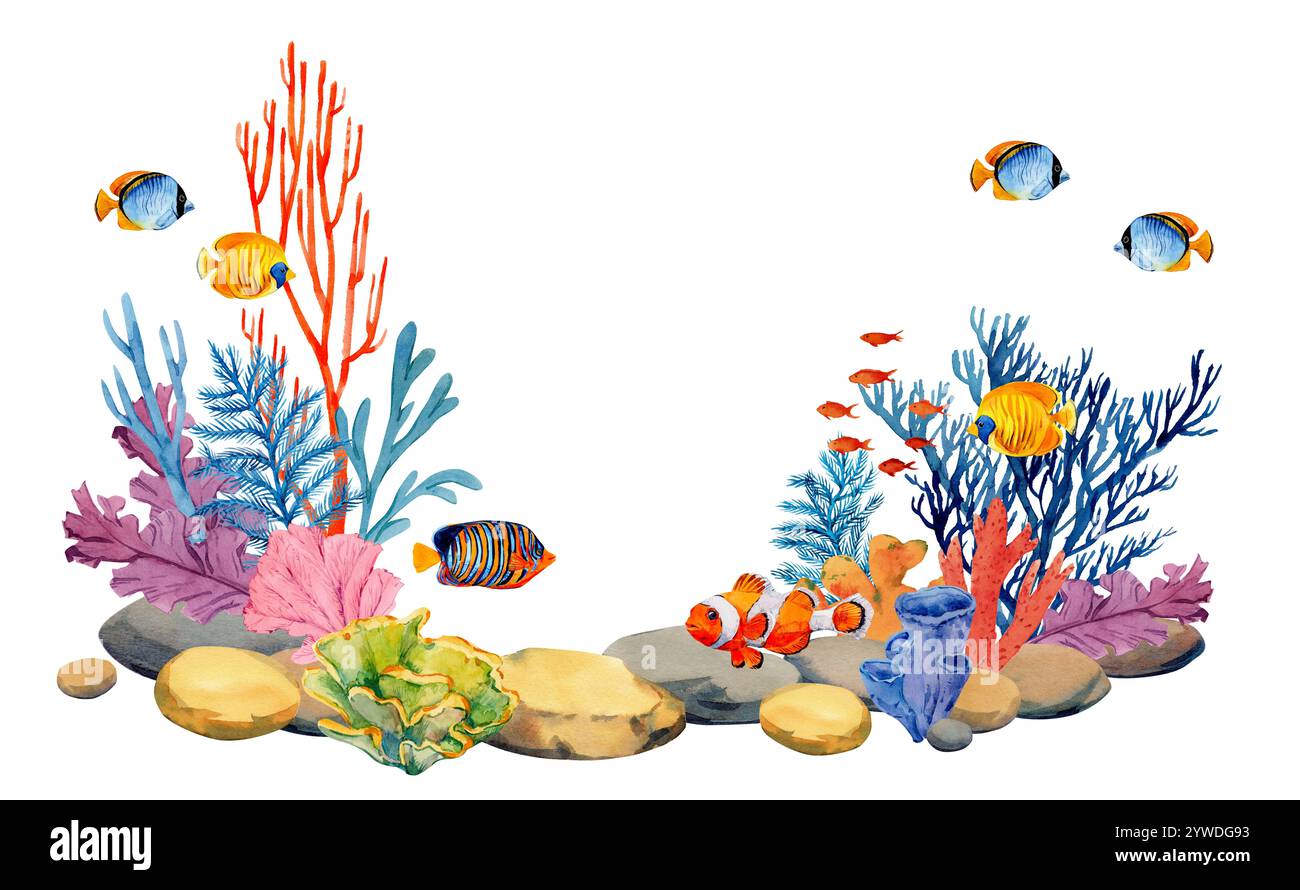 Coral reefs with tropical fish, rocks and algae. Underwater landscape ...