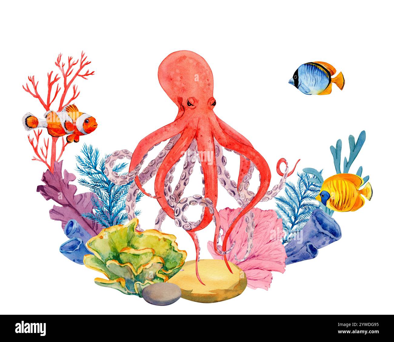 Coral reefs with tropical fish, rocks and algae. Composition with ...