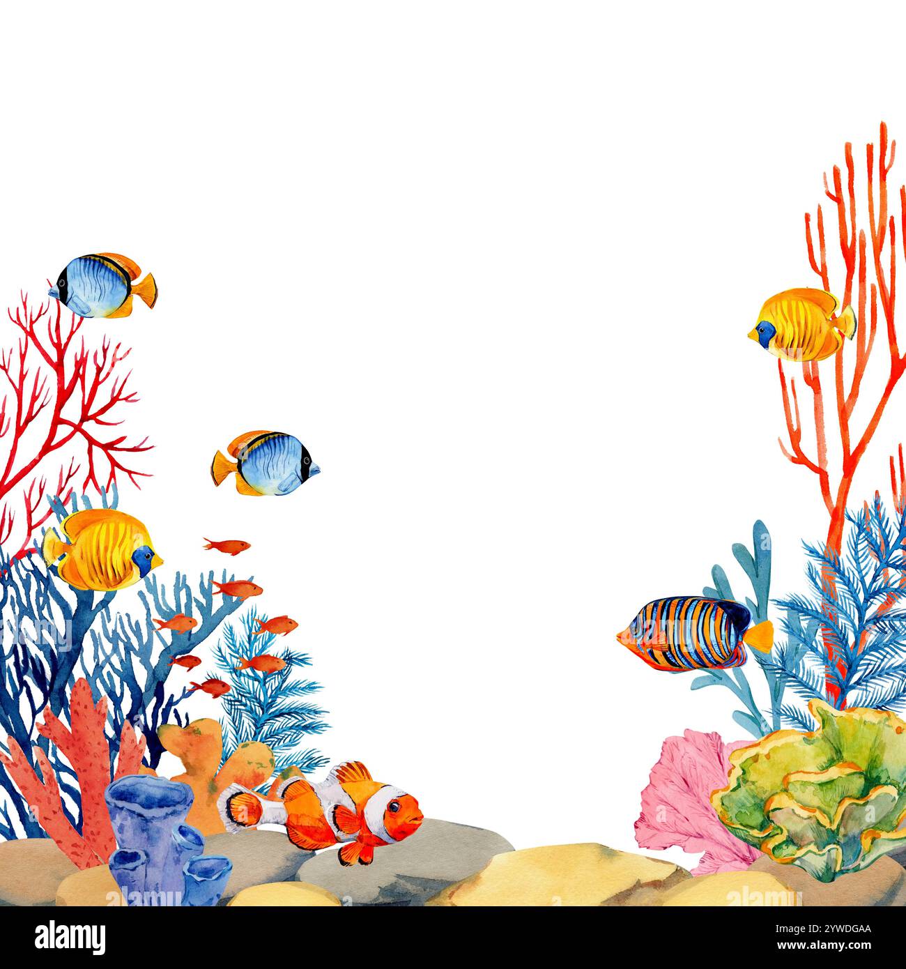 Coral reefs with tropical fish, rocks and algae. Underwater landscape ...