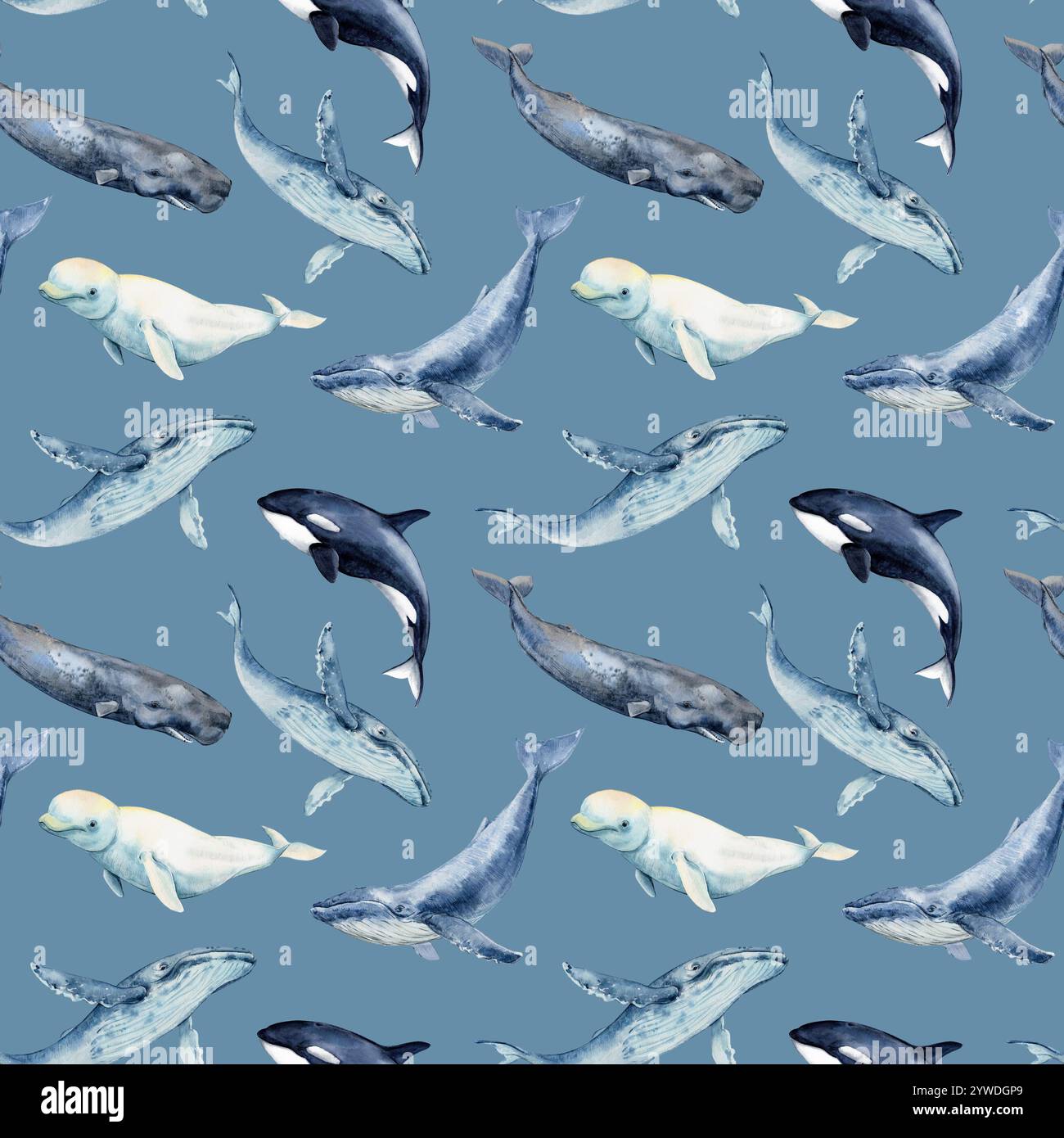 Seamless pattern with whales. Repeating texture with marine mammals. Watercolor illustration ...