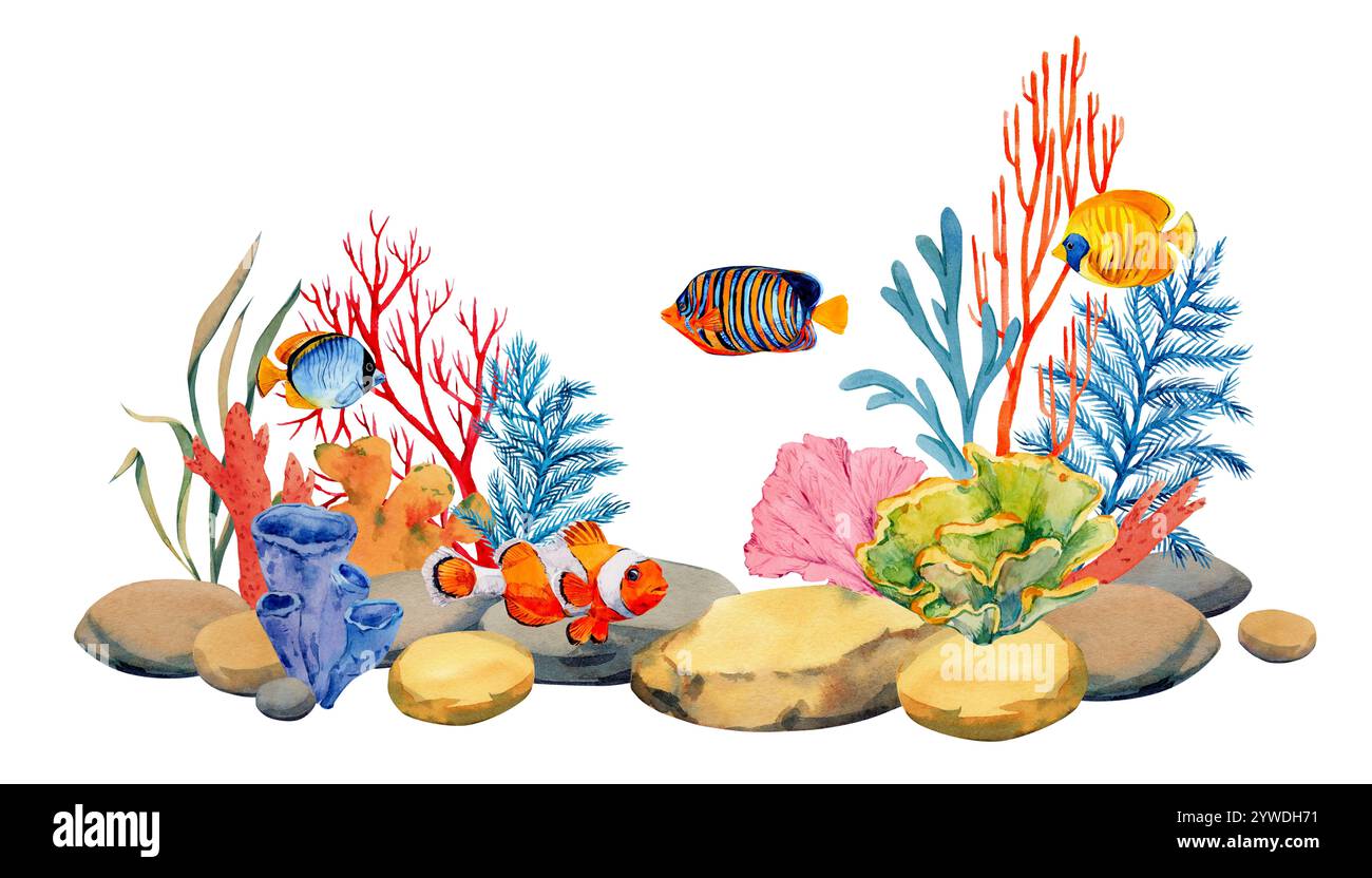 Coral reefs with tropical fish, rocks and algae. Underwater landscape ...