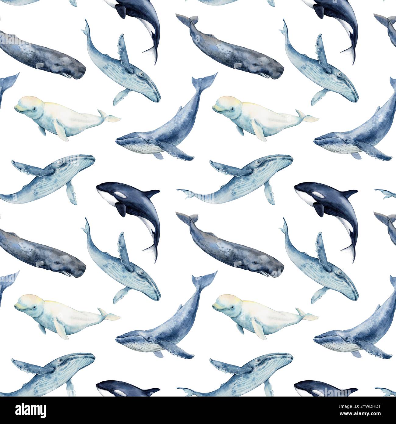 Seamless pattern with whales. Repeating texture with marine mammals ...