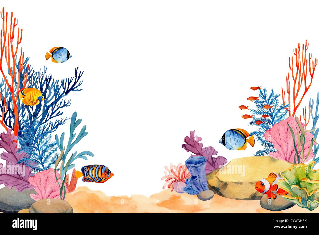 Coral reefs with tropical fish, rocks and algae. Underwater landscape ...