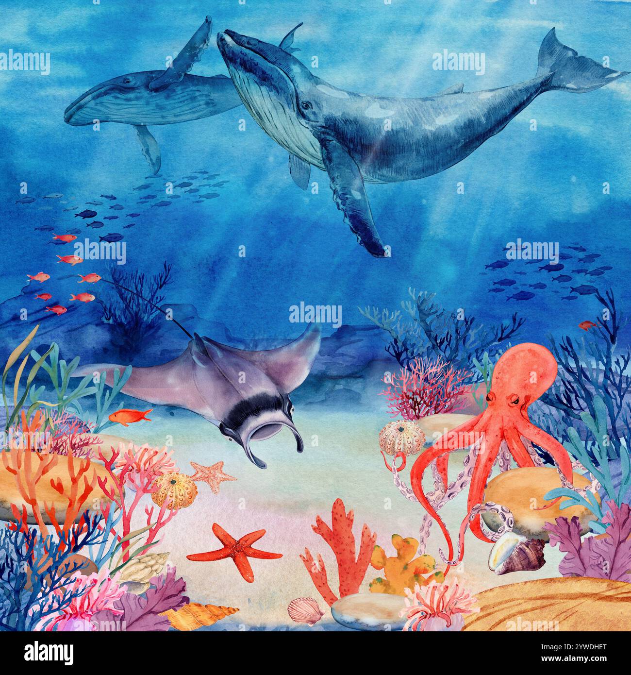 Underwater landscape with coral reef, mana rays, fish and shells ...